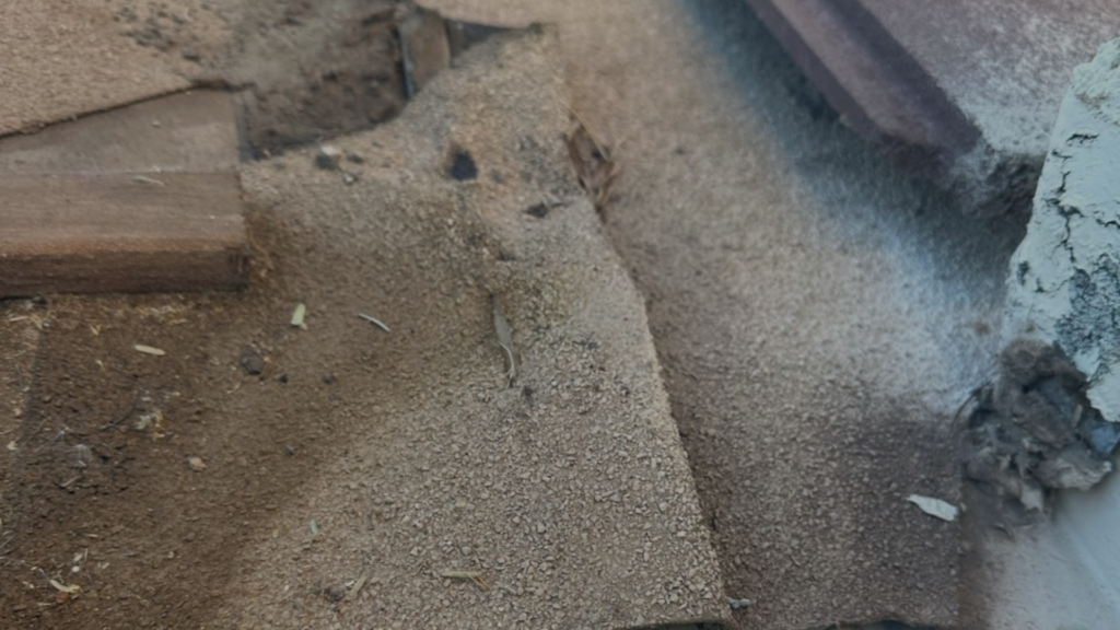 Common Causes of Roof Failure and How to Prevent Them